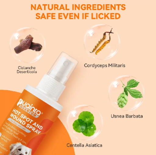 Hot Spot on Your Dog’s Paw? Here’s How to Stop the Itching Fast - Lite ...
